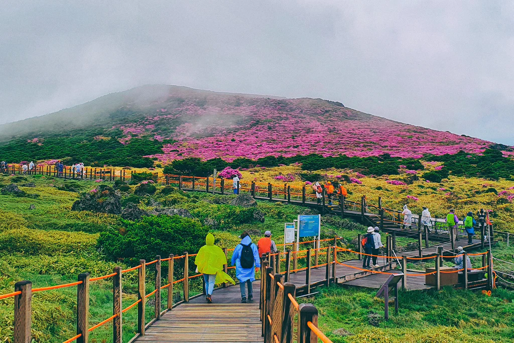 Mewujudkan Impian Liburan: Biaya Trip ke Jeju yang Perlu Kamu Ketahui!